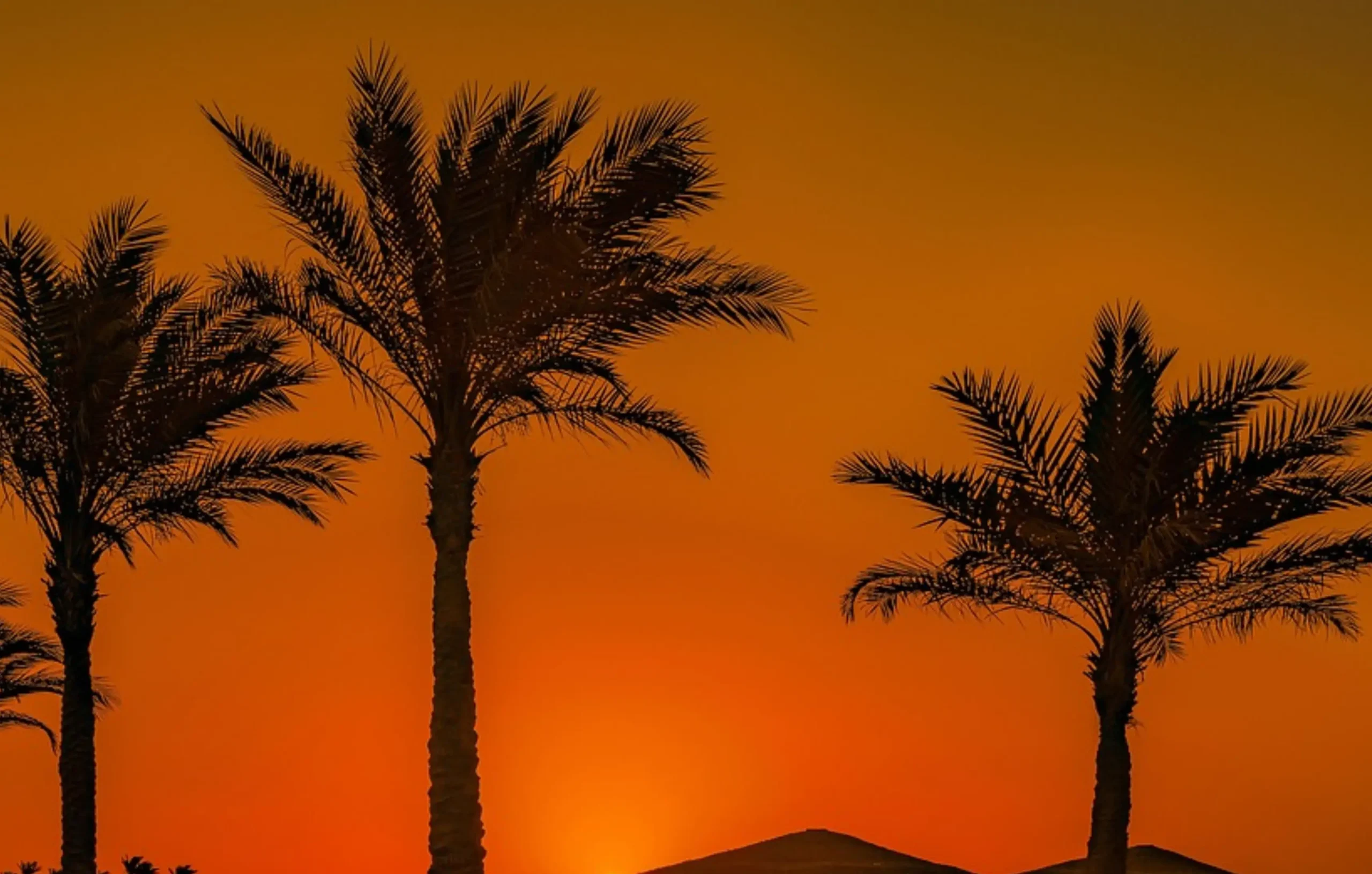 Best Sunbeds UK – Premium Sunbeds & Tanning Lamps
